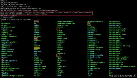 Linux系统中的环境变量简单理解linux 系统 什么是环境变量 Csdn博客