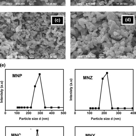 sem image of the compounds a mnp b mnz c mnc and d mny e particle