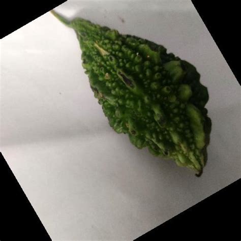 Segregation Of Fruits And Vegetables Object Detection Dataset And Pre Trained Model By Thesis Is Lyf