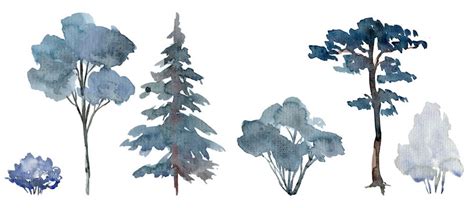 Trees Background Watercolor Images Browse Stock Photos Vectors And Video Adobe Stock