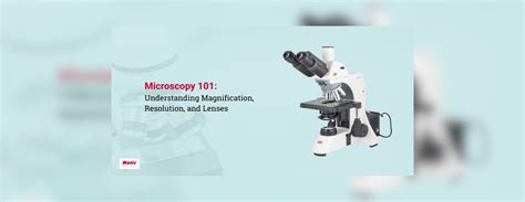 Microscopy 101 Understanding Magnification Resolution And Lenses