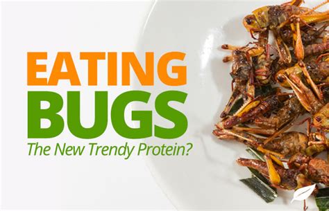 Need More Protein For Lean Muscle Try Eating Crickets Natural