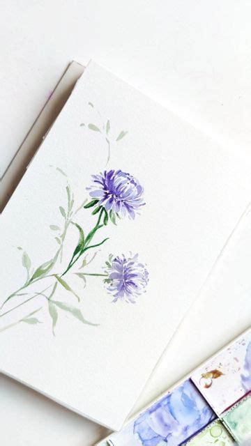 Watercolour China Aster Youtube Tutorial