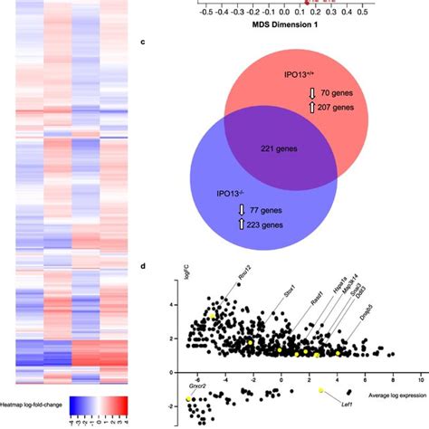 Ppar Agonists Up Regulate Levels Of Klf4 Mrna And Protein Expression In