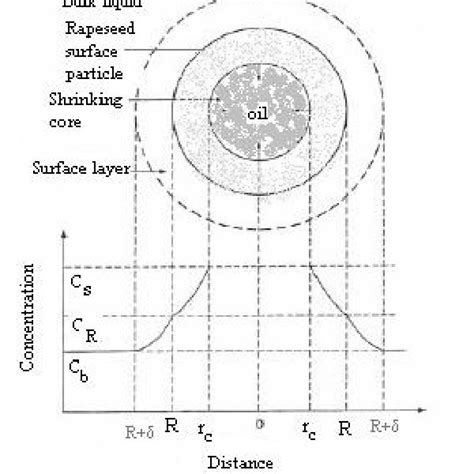 Pdf Extraction Of Vegetable Oils From Ground Seeds By Percolation Techniques
