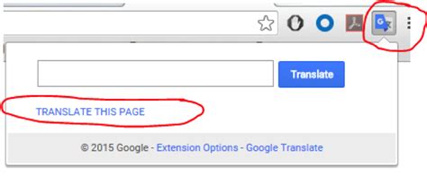 Enable Google Translate