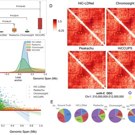 Pdf Hic Ldnet A General And Robust Deep Learning Framework For Accurate Chromatin Loop