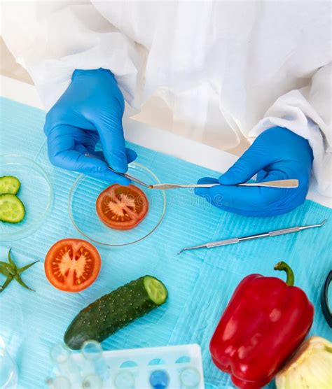 laboratory testing of different food products selective focus stock