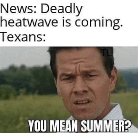 Summer Memes 35 Hot Jokes For Scorching Days