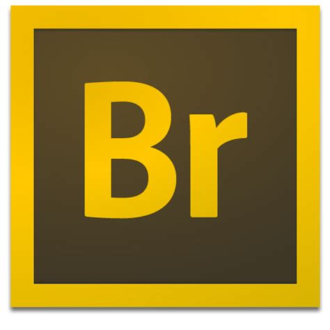 Adobe Bridge The Creative Link Between Indesign Photoshop And Illustrator