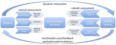 Schematic Representation Of Approaches For Clinical And Robotic
