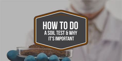 How To Do A Soil Test Why It S Important Vegetable Growing