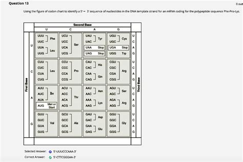 Question 13 Using The Flgure Of Codon Chart To Identify 5 Sequence Of Nucleotides In The Dna