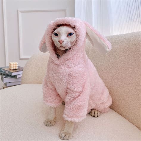 Sphynx Cat Clothes Devon Rex Cats Cat Tat Pumpkin Flower Warm