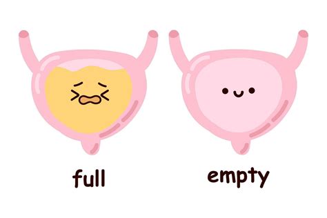 Web Banner Adorable Kawaii Human Organ Unhappy Full And Happy Empty