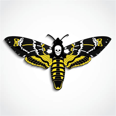 Deaths Head Moth Yellow Color Illustration With Skull 51968008 Vector