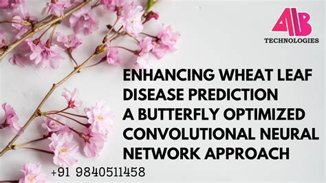 Enhancing Wheat Leaf Disease Prediction A Butterfly Optimized Convolutional Neural Network