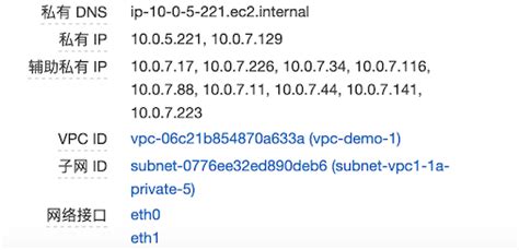 使用 Amazon VPC CNI 插件搭建自定义网络环境的 Kubernetes 集群 亚马逊AWS官方博客