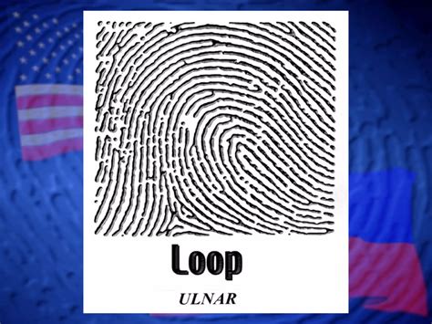 Fingerprint Classification Slide 1 Ppt