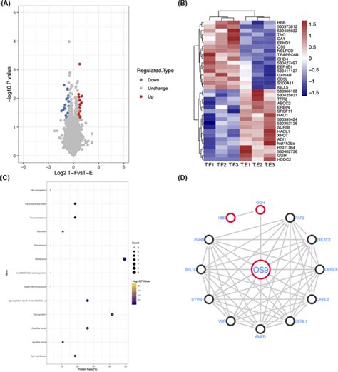 Proteomics‐based Identification Of The Role Of Osteosarcoma Amplified‐9