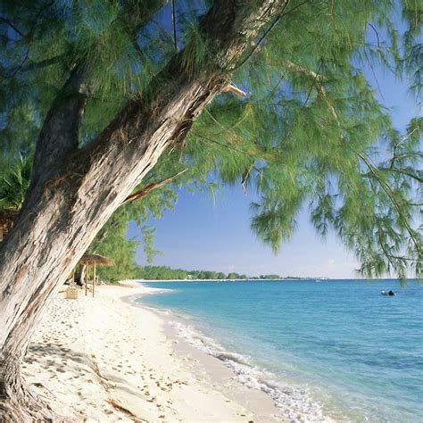 Cayman Islands Travel Lonely Planet Caribbean
