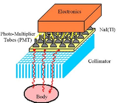 Figure 23 From Progress In The Development Of Cdte And Cdznte Semiconductor Radiation Detectors