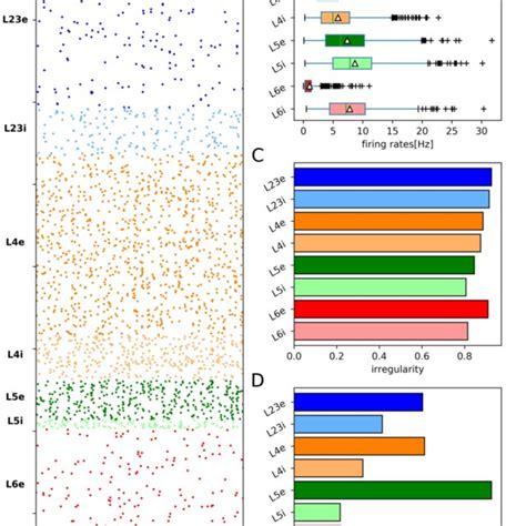 Spontaneous Cell Type Specific Activity To Be Compared With Fig6 From