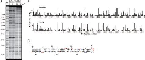 Figure 2 From The Use Of A Combination Of Computer Assisted Structure