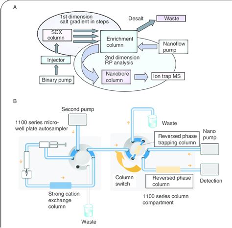 A Principle Of 2D LC B Valve Switching Configuration Of The LC Download Scientific Diagram