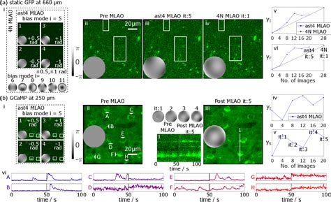 Universal Adaptive Optics For Microscopy Through Embedded Neural Network Control