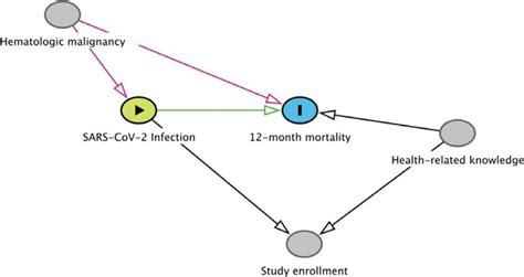 Directed Acyclic Graph DAG For A Hypothetical Study Evaluating The