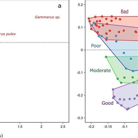 Taxonomic Composition Of Macroinvertebrate Community A Among Four