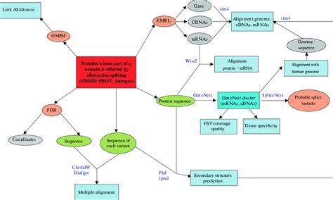 schematic outline of the methods used the rectangles represent results