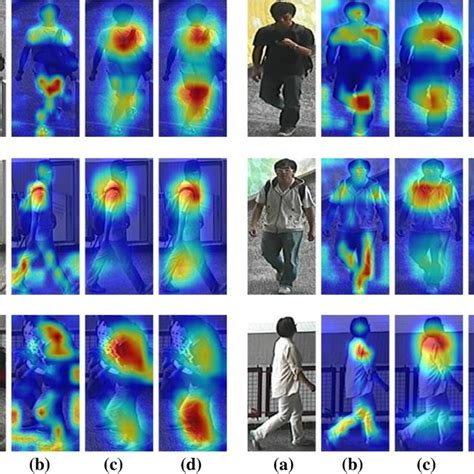 The Visualization Of The Class Activation Maps Cams Of The Proposed