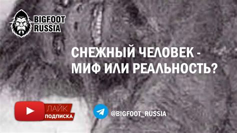 СНЕЖНЫЙ ЧЕЛОВЕК ЖИВЕТ В РОССИИ. Лекция 2. Почему йети (реликтовый ...