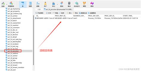 Spring Boot 项目集成camunda流程引擎springboot集成camunda Csdn博客