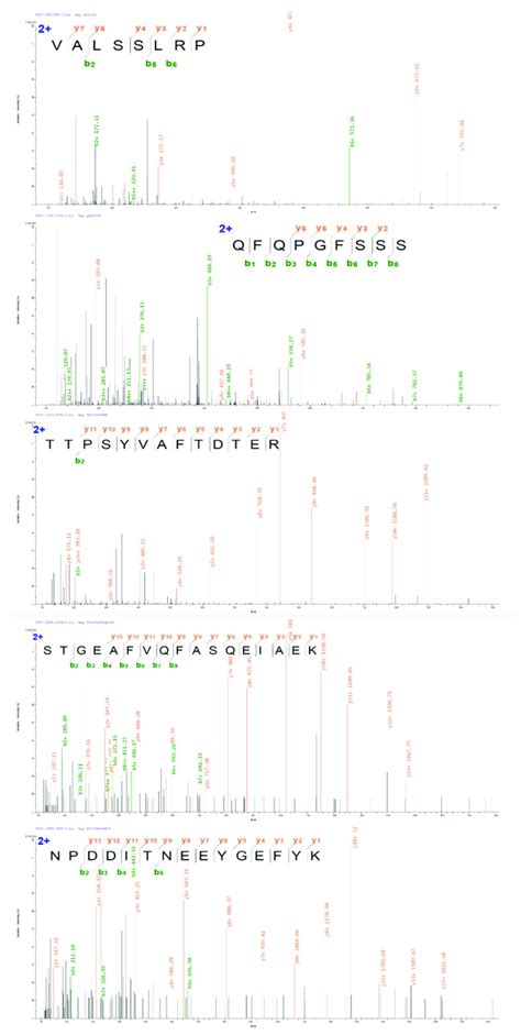 Msms Spectrums Of Five Ace Ips In Fraction B6 Download Scientific