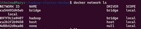 docker搭建hadoop分布式学习环境以及演示简单的文件上传 docker 搭建hdfs csdn博客