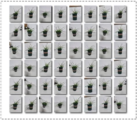 Agronomy Special Issue Computer Vision And Deep Learning Technology