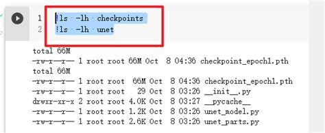 No Checkpoint Saved Issue Milesial Pytorch UNet GitHub