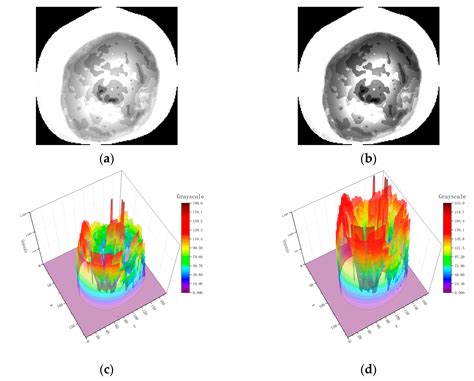 Applied Sciences Free Full Text Apple Surface Defect Detection