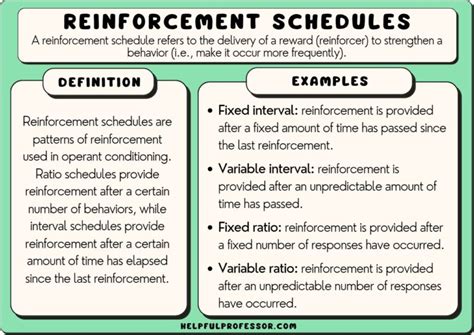 15 Reinforcement Schedule Examples Of All Types 2024