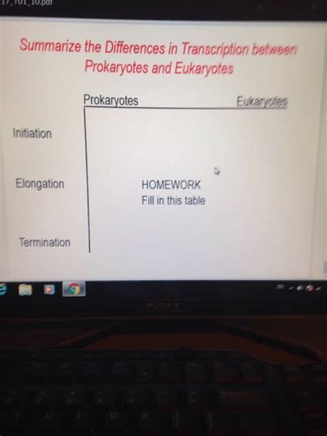 solved summarize the differences in transcription between