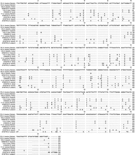 Sequence Alignment Of Samples Analyzed With The Reference Sequences