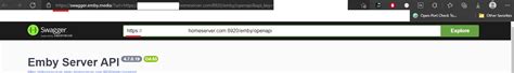 Failed To Load API Definition Developer API Emby Community