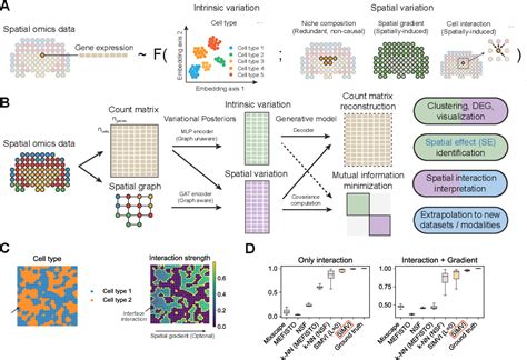 Figure 1 From Simvi Reveals Intrinsic And Spatial Induced States In