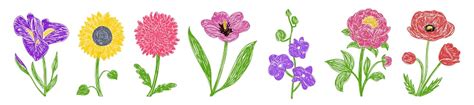 화려한 연필 마커 또는 펜으로 꽃을 그립니다 벡터 세트 손으로 그린 스케치 꽃 컬렉션입니다 꽃 아이리스 해바라기 국화 튤립 난초 모란 양귀비 0명에 대한 스톡 벡터 아트 및