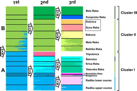 Population Structure As Inferred By Hierarchical Structure Analysis Of