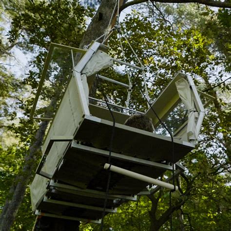 Artistree Raises A Telescopic Treehouse In California