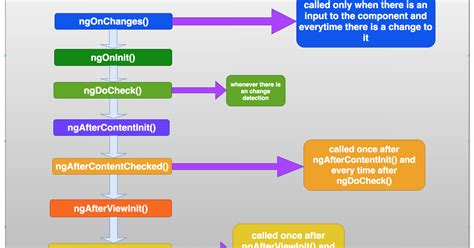 Technical Architect Brain Angular Lifecycle Hooks Methods And
